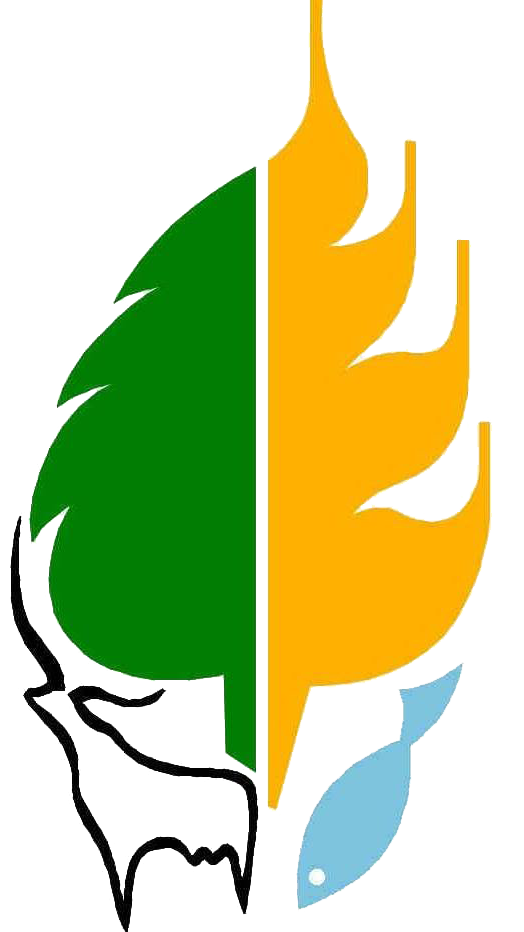 Two Step Calibration Estimators For Population Mean In Two Stage Stratified Random Sampling When